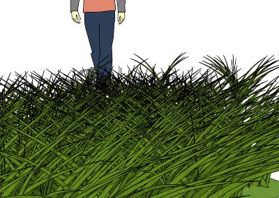 sketchup components 3d warehouse :Grass Component, Grass patch