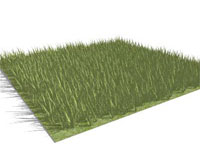 SketchUp Components 3D Warehouse - 3D SketchUp Grasses